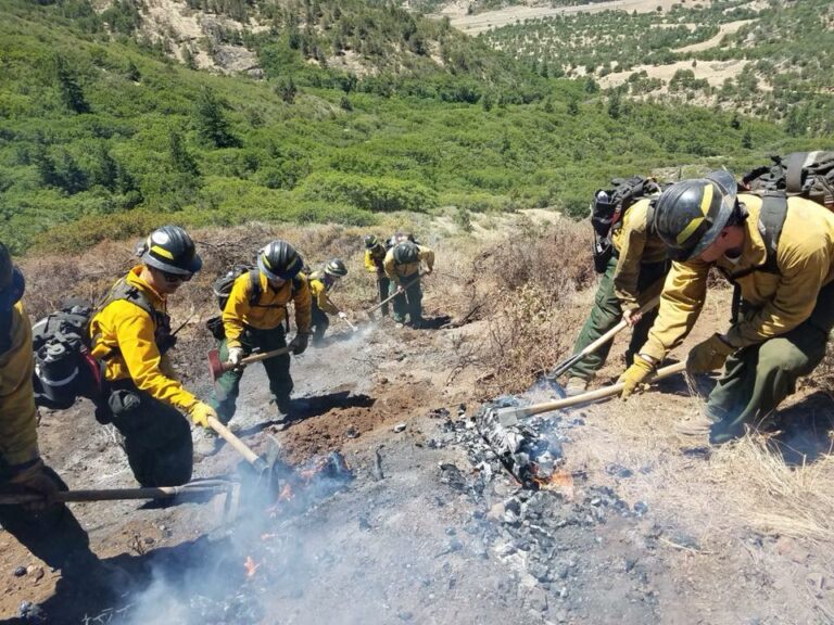 Wildfire Personnel Support and Services - GFP Response